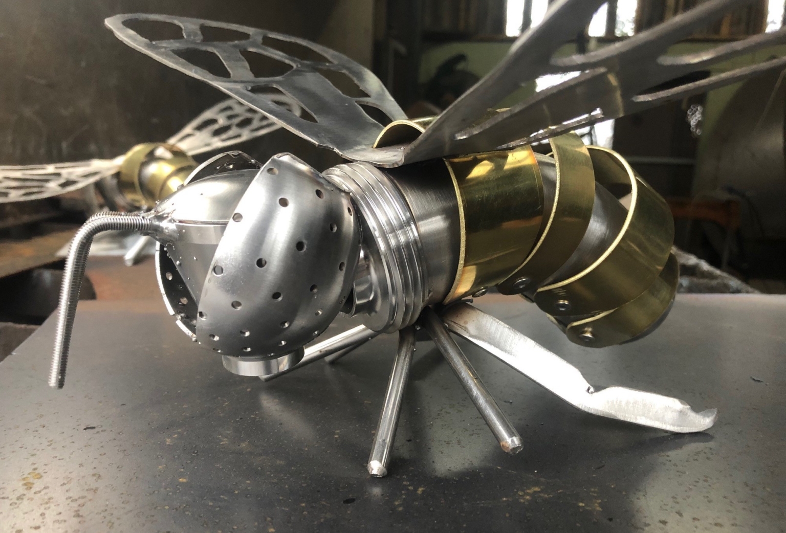 Making a bee-line for the environment - Noel Murphy