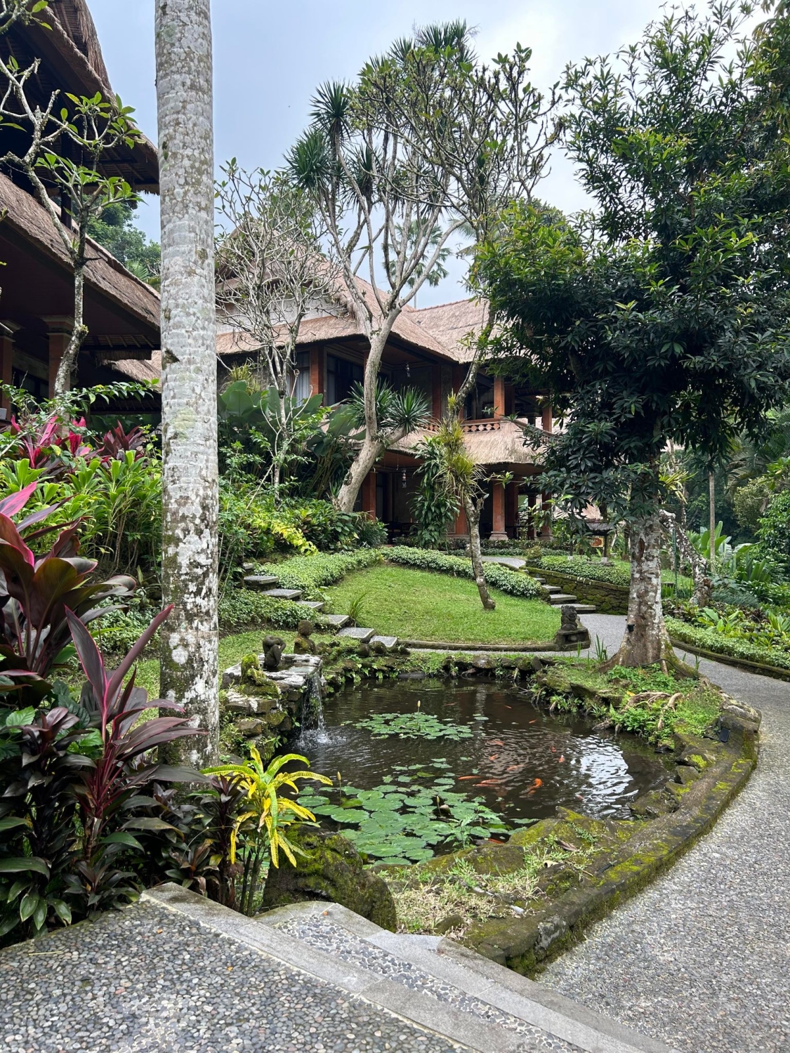 Island of the gods, guardians and peripatetic primates - Noel Murphy